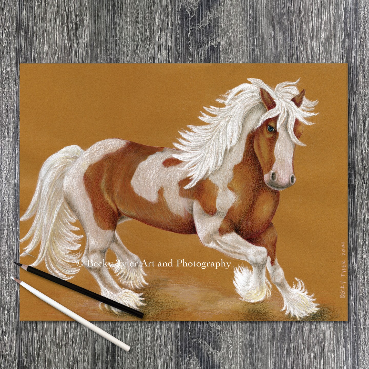 Clydesdale, Colored Pencil on Tan Paper – Becky Tyler Art and Photography